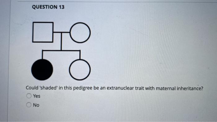 Solved QUESTION 13 CO Could shaded' in this pedigree be an | Chegg.com