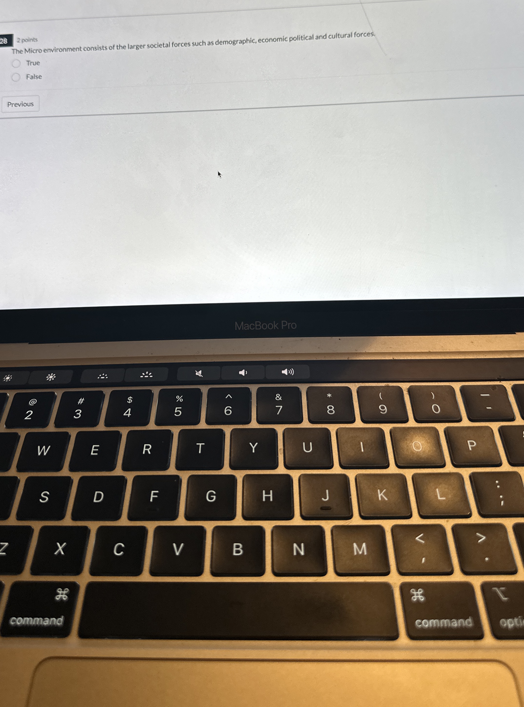 Solved 282 ﻿pointsThe Micro environment consists of the | Chegg.com