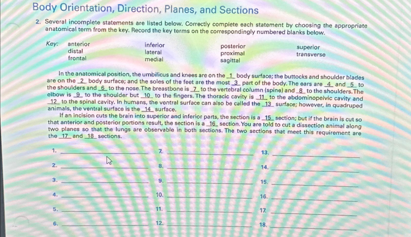 Solved Body Orientation, Direction, Planes, and Sections2. | Chegg.com