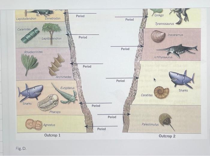Solved Fig. D. Using Fig. C as reference, determine the | Chegg.com