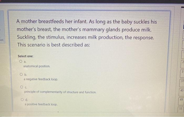 Solved A mother breastfeeds her infant. As long as the baby | Chegg.com