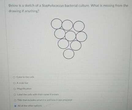 Solved Below is a sketch of a Staphylococcus bacterial | Chegg.com