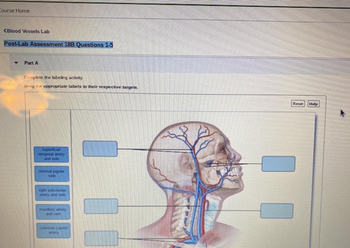 Solved Course Home | Chegg.com
