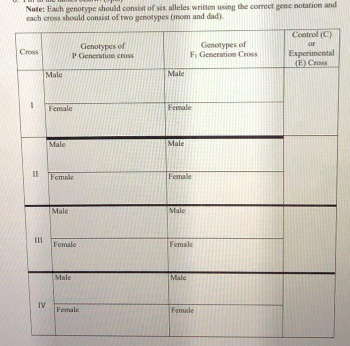 Note: Each genotype should consist of six alleles | Chegg.com