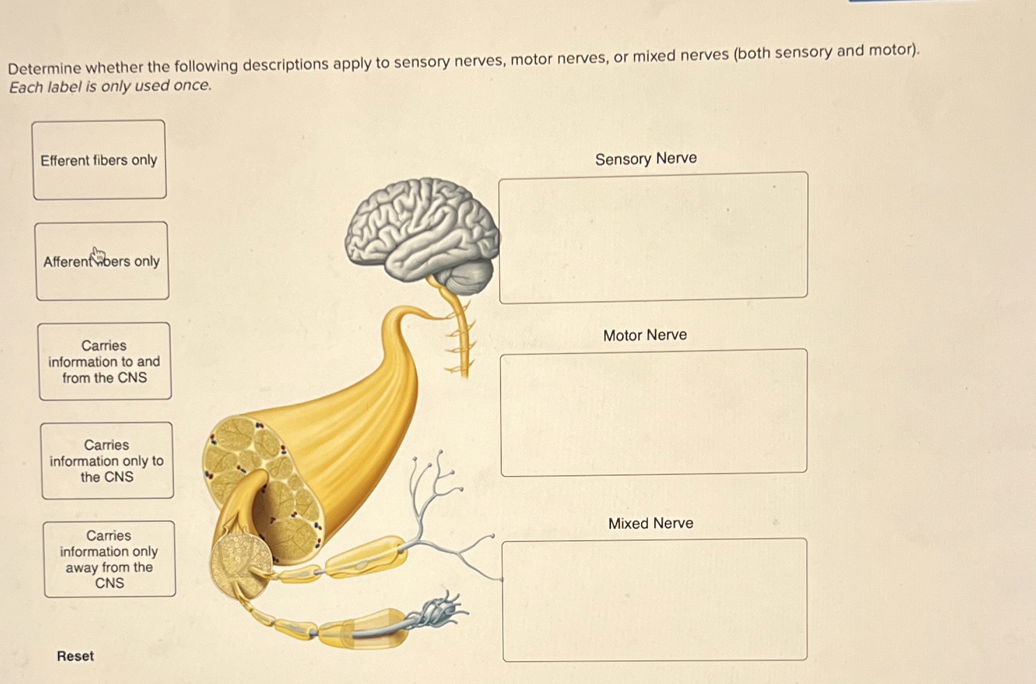 Solved Determine whether the following descriptions apply to | Chegg.com