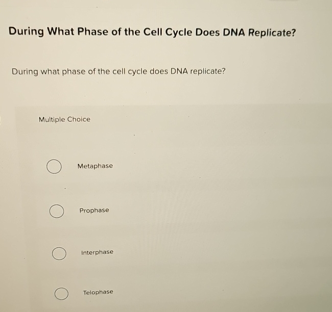 Solved During What Phase of the Cell Cycle Does DNA | Chegg.com