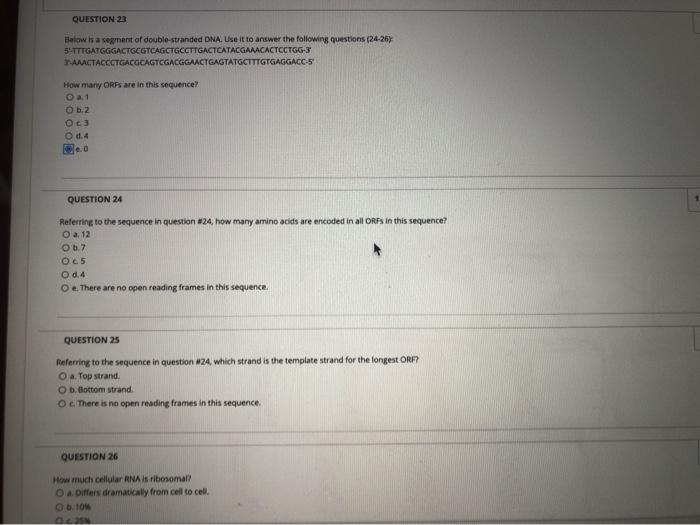 Solved QUESTION 23 Below is a segment of double-stranded | Chegg.com
