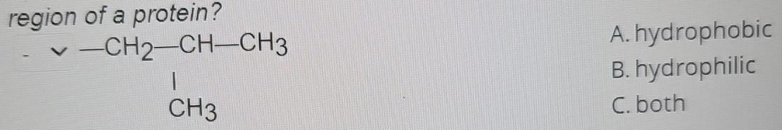 Solved region of a protein? -CH2-CH-CH3A. ﻿hydrophobicIB. | Chegg.com