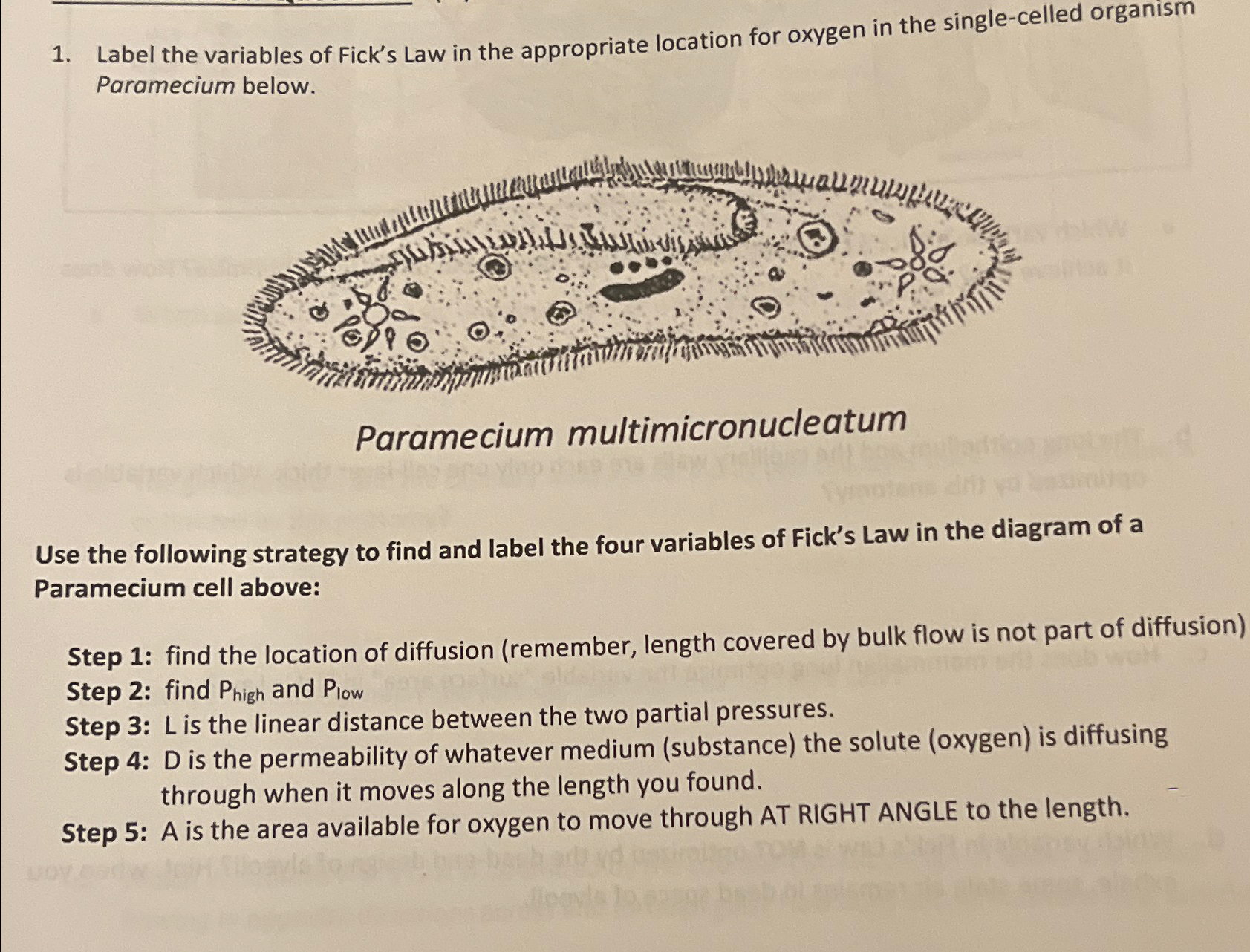 Solved Label the variables of Fick's Law in the appropriate | Chegg.com