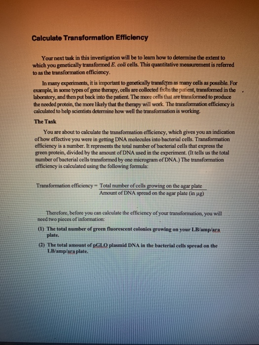 Transformation Efficiency Data Collection And Anal... | Chegg.com