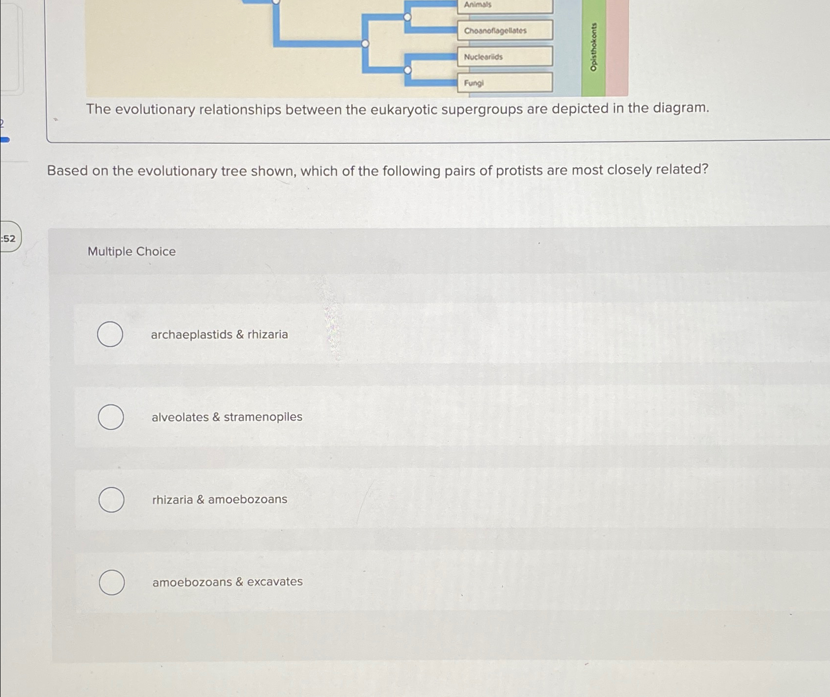 Solved The evolutionary relationships between the eukaryotic | Chegg.com
