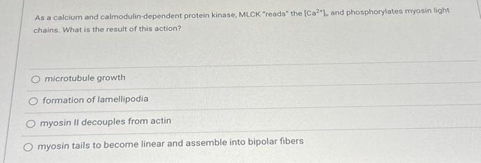 Solved As a calcium and calmodulin-dependent protein kinase, | Chegg.com