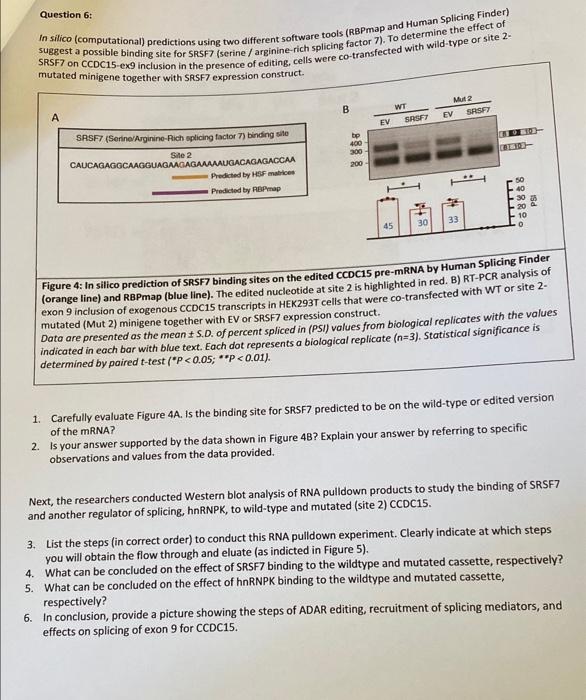 Question 6: in silico (computational) predictions | Chegg.com