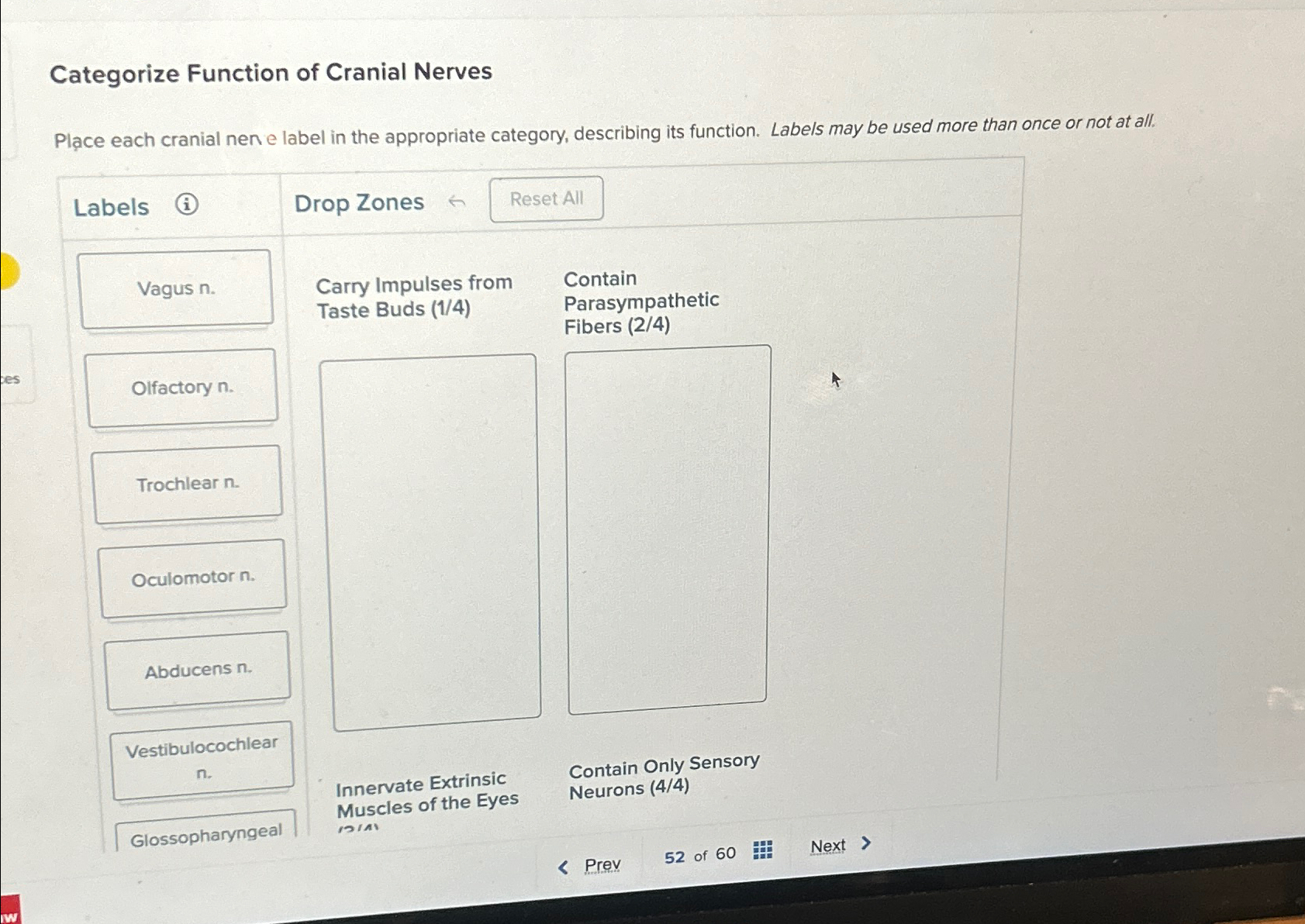 Solved Categorize Function of Cranial NervesPlace each | Chegg.com