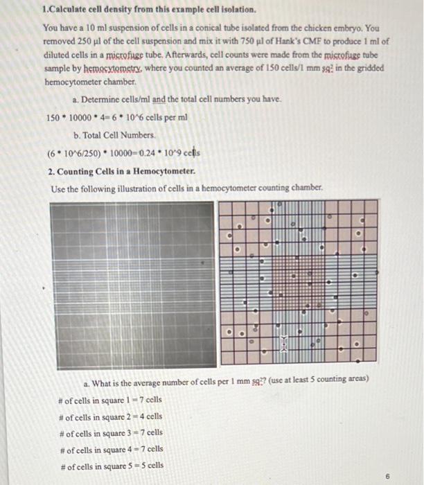 1.Calculate cell density from this example cell | Chegg.com