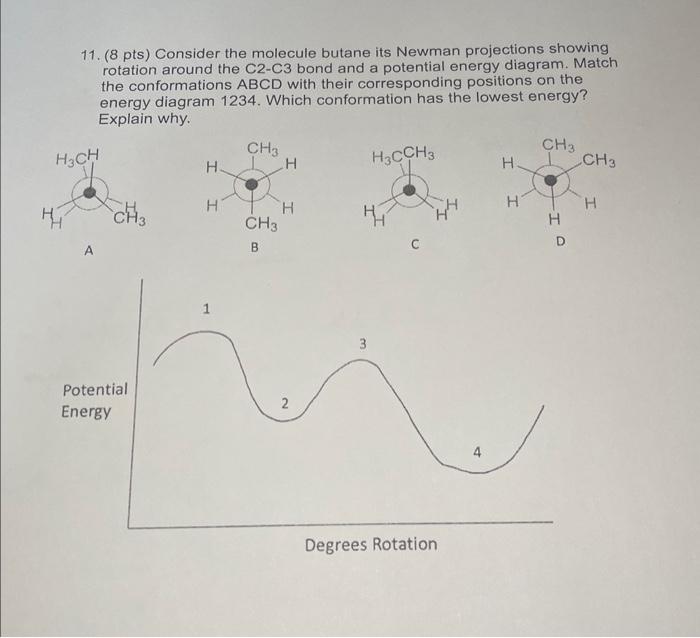 Solved 11. ( 8 pts) Consider the molecule butane its Newman | Chegg.com