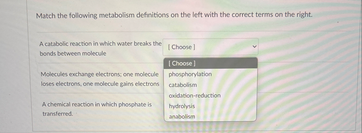 Solved Match the following metabolism definitions on the | Chegg.com