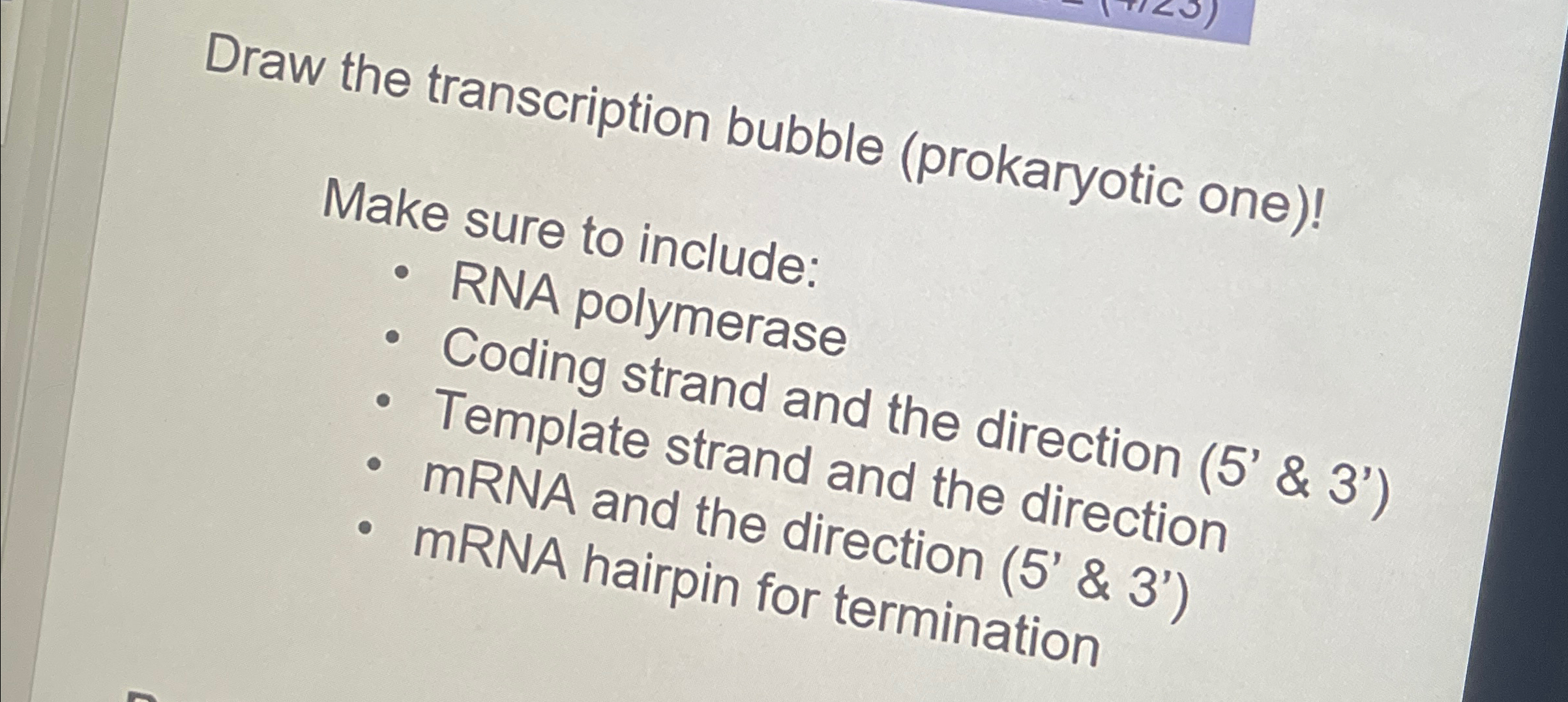 Solved Draw the transcription bubble (prokaryotic one)!Make | Chegg.com