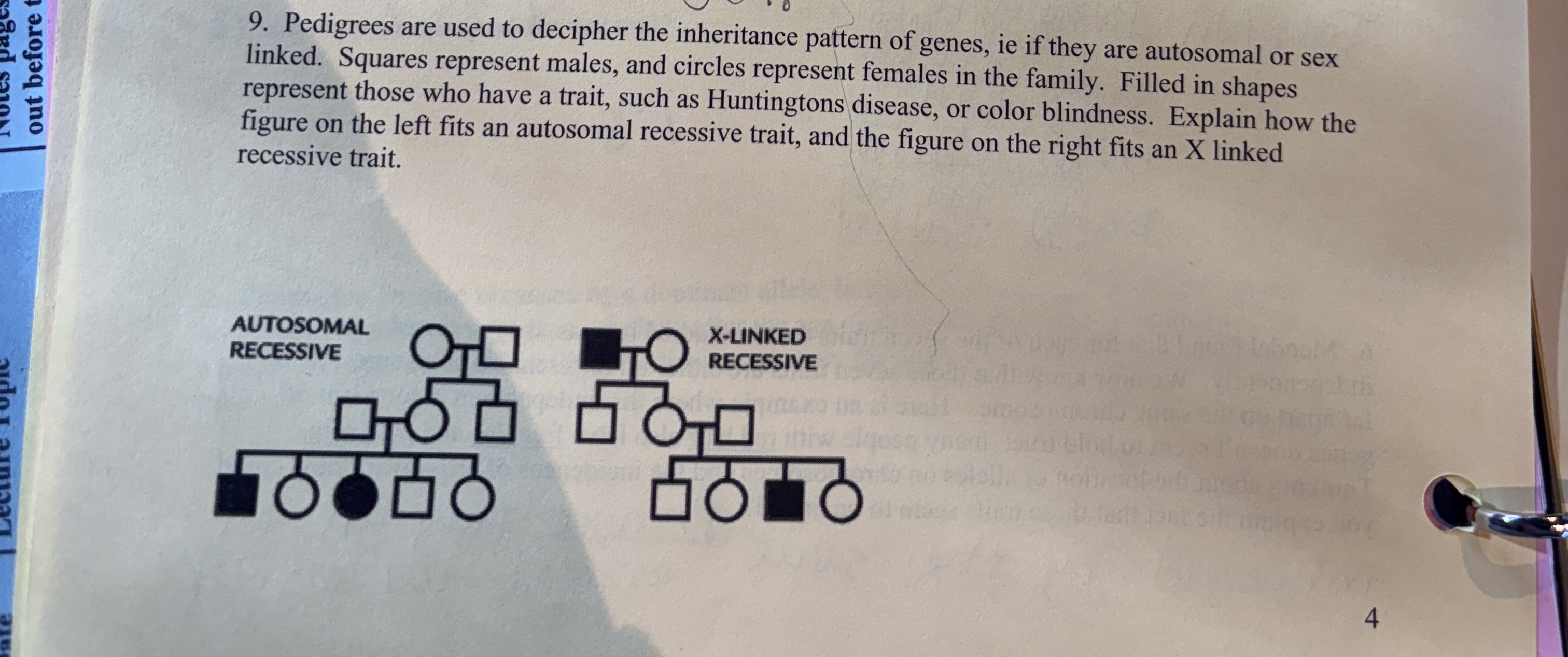 Solved Pedigrees are used to decipher the inheritance | Chegg.com