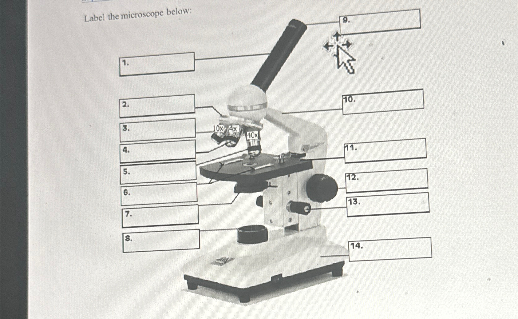 Solved Label the microscope below: | Chegg.com