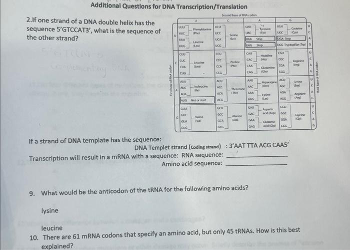 Solved Additional Questions for DNA | Chegg.com