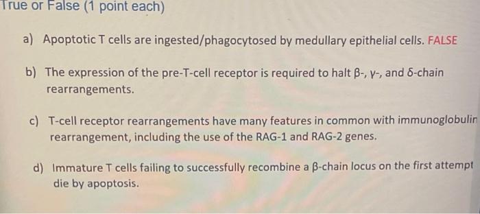 Solved rue or talse (1 point each) a) Apoptotic T cells are | Chegg.com