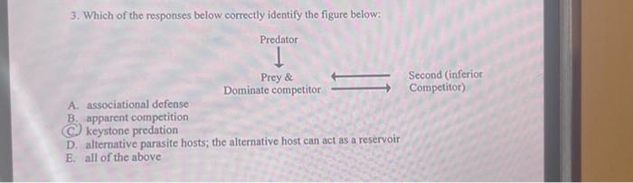 Solved 3. Which of the responses below correctly identify | Chegg.com