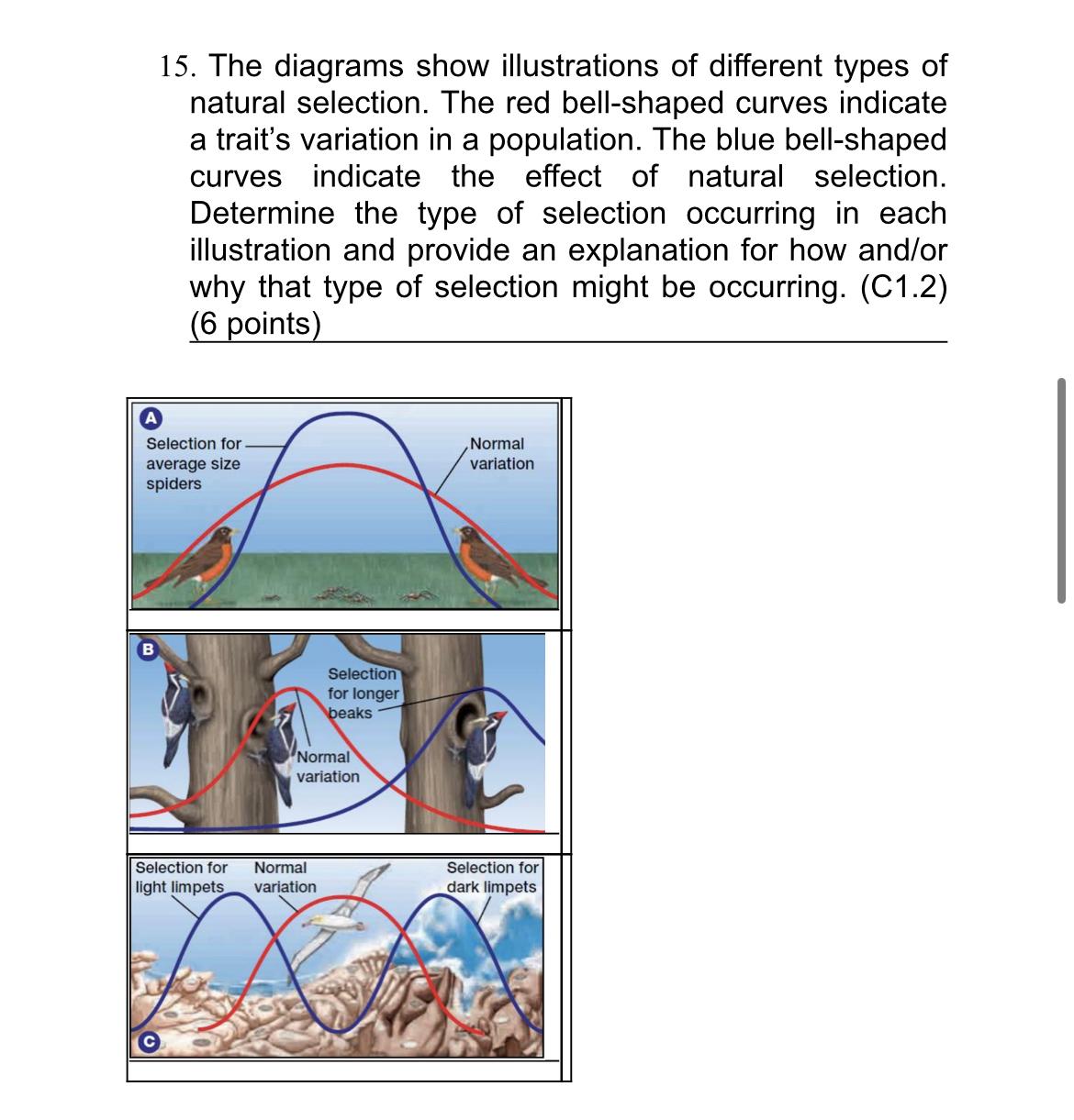 Solved The diagrams show illustrations of different types of | Chegg.com