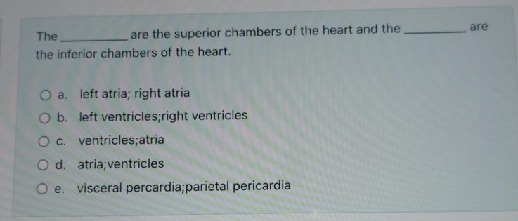 Solved The are the superior chambers of the heart and the | Chegg.com