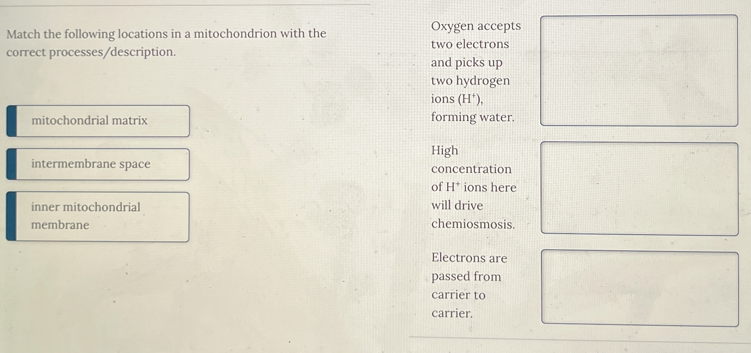 Solved Match the following locations in a mitochondrion with | Chegg.com