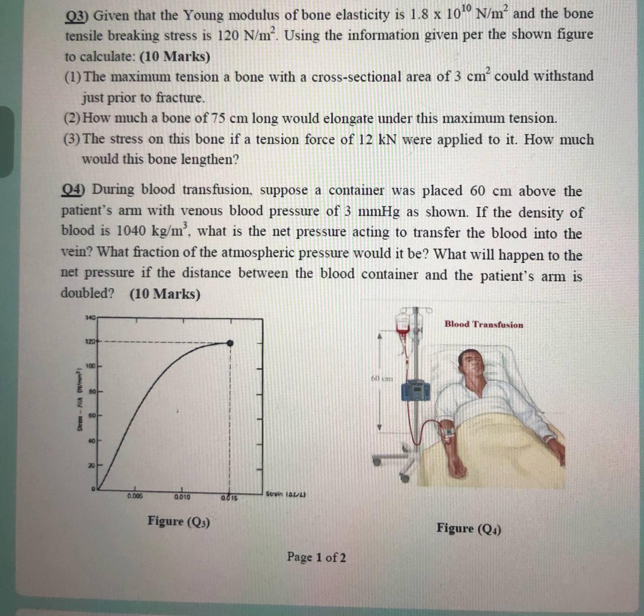 Solved 03) Given that the Young modulus of bone elasticity | Chegg.com