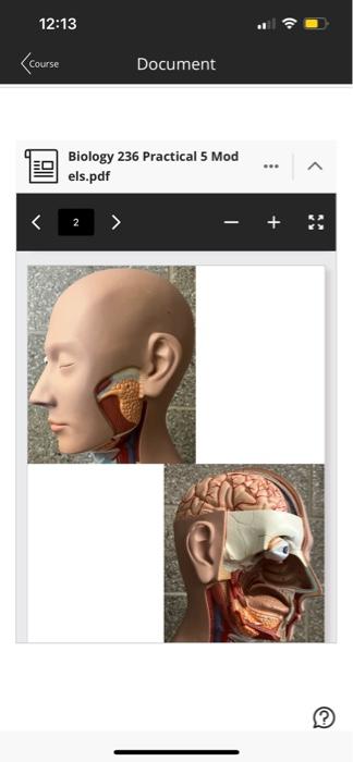 For questions 27 - 32 Identify the structure. 27. 28. | Chegg.com