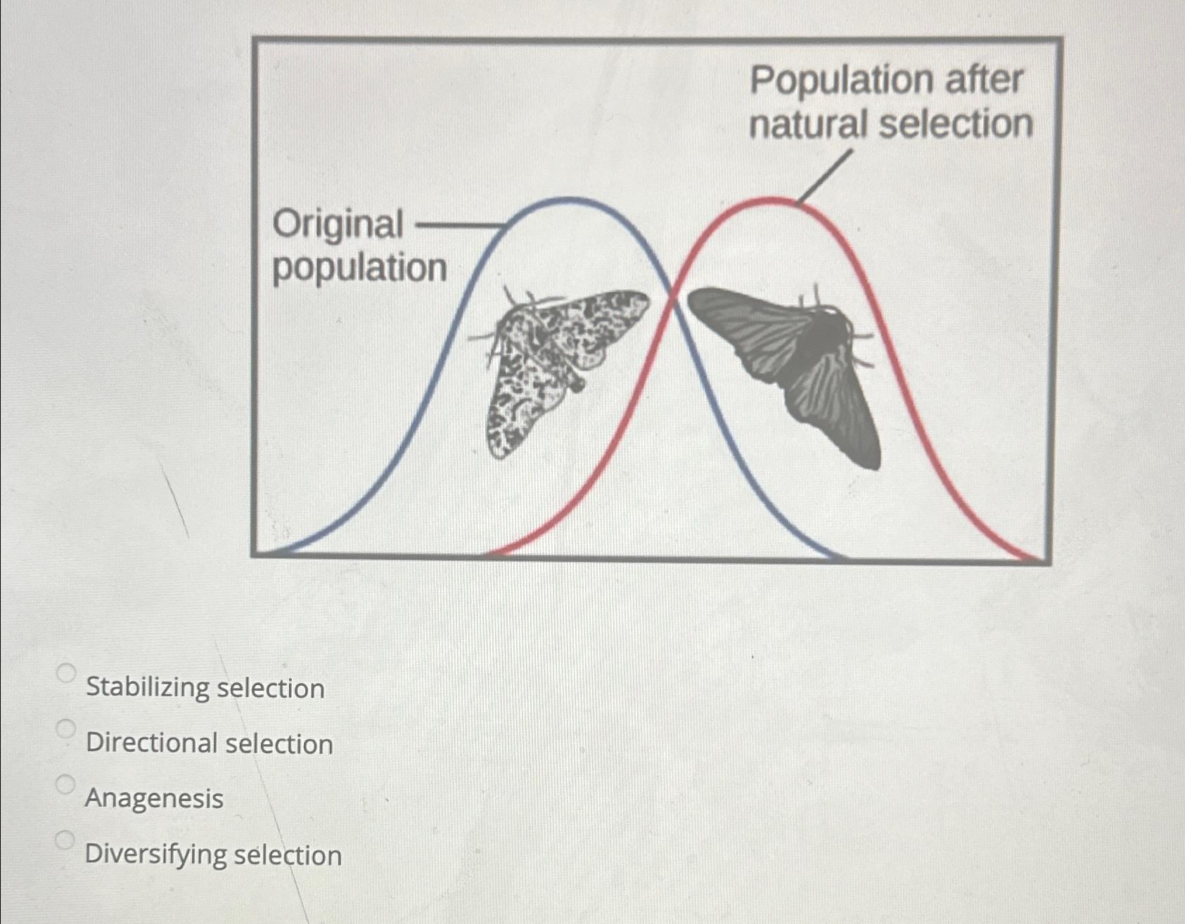 Solved Stabilizing selectionDirectional | Chegg.com