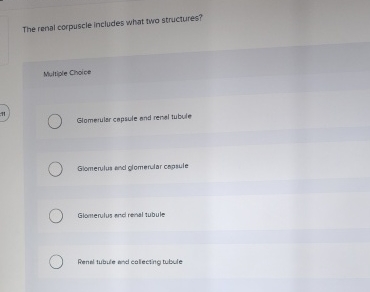 Solved The renal corpuscle includes what two | Chegg.com