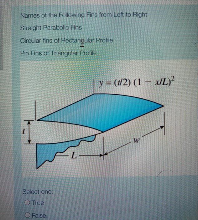 Solved Names of the Following Fins from Left to Right: | Chegg.com
