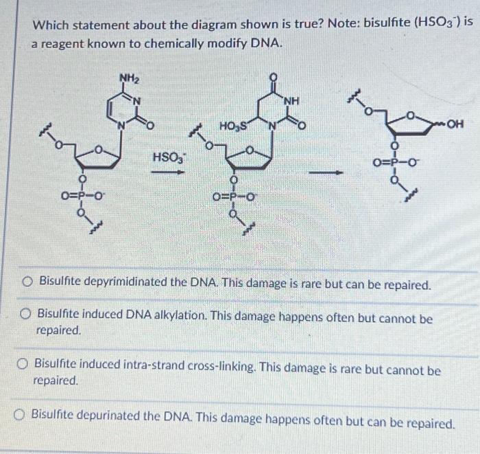 Solved Which statement about the diagram shown is true? | Chegg.com