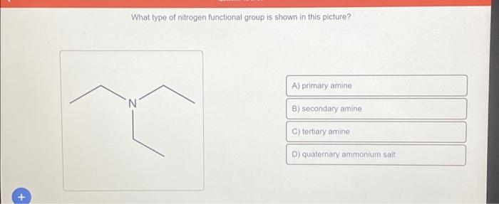 Solved + What type of nitrogen functional group shown in | Chegg.com