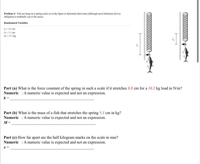 Solved Problem 4: Fish are bung on a spring scales as in the | Chegg.com
