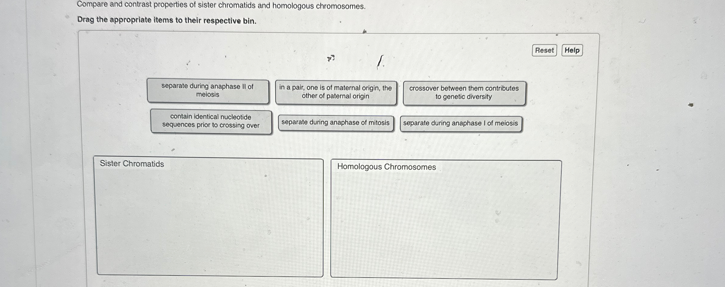 Solved Compare and contrast properties of sister chromatids | Chegg.com