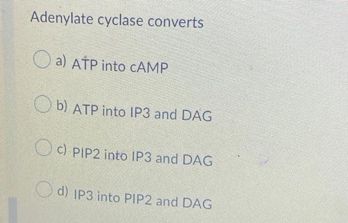 Solved Adenylate cyclase converts a) ATP into CAMP ) b) ATP | Chegg.com