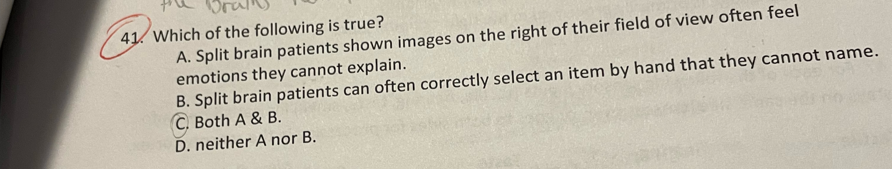Solved Which Of The Following Is Truea ﻿split Brain