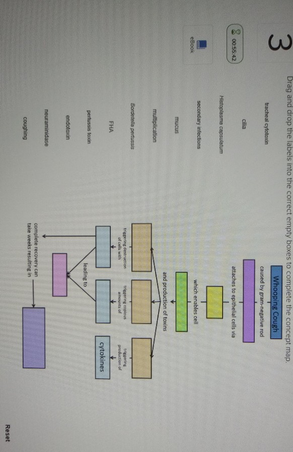 Solved Drag and drop the labels into the correct empty boxes | Chegg.com