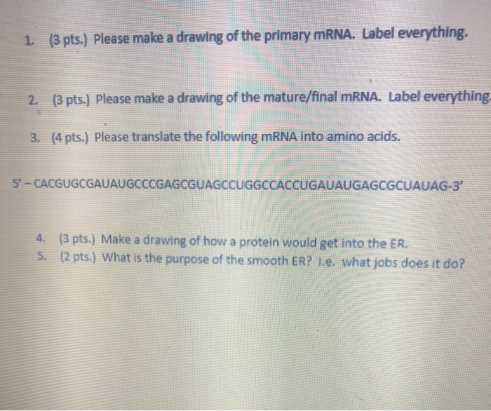 Solved 1. (3 pts.) Please make a drawing of the primary | Chegg.com