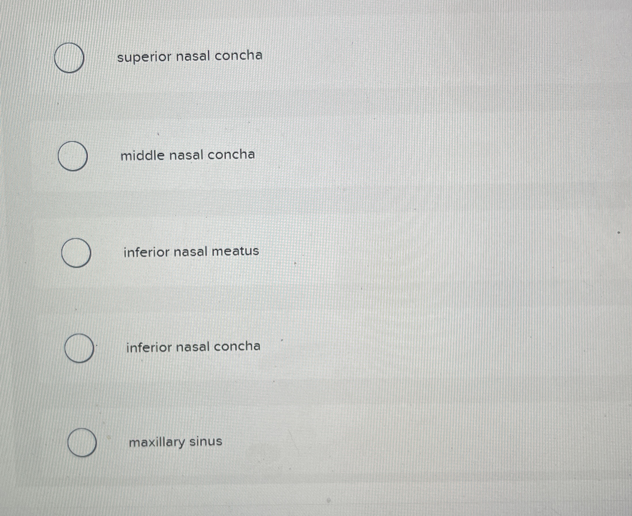 Solved superior nasal concha ﻿middle nasal concha | Chegg.com