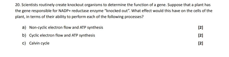 Solved 20. Scientists routinely create knockout organisms to | Chegg.com