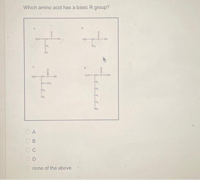 Solved Which amino acid has a basic R group? A B C D none of | Chegg.com