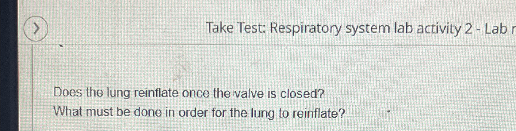Solved Take Test: Respiratory system lab activity 2 - ﻿Lab | Chegg.com