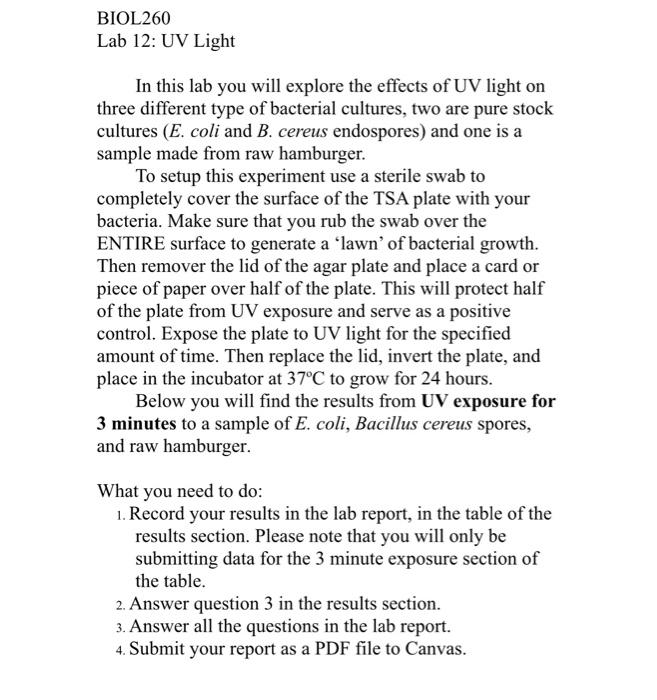 Solved BIOL260 Lab 12: UV Light In this lab you will explore | Chegg.com