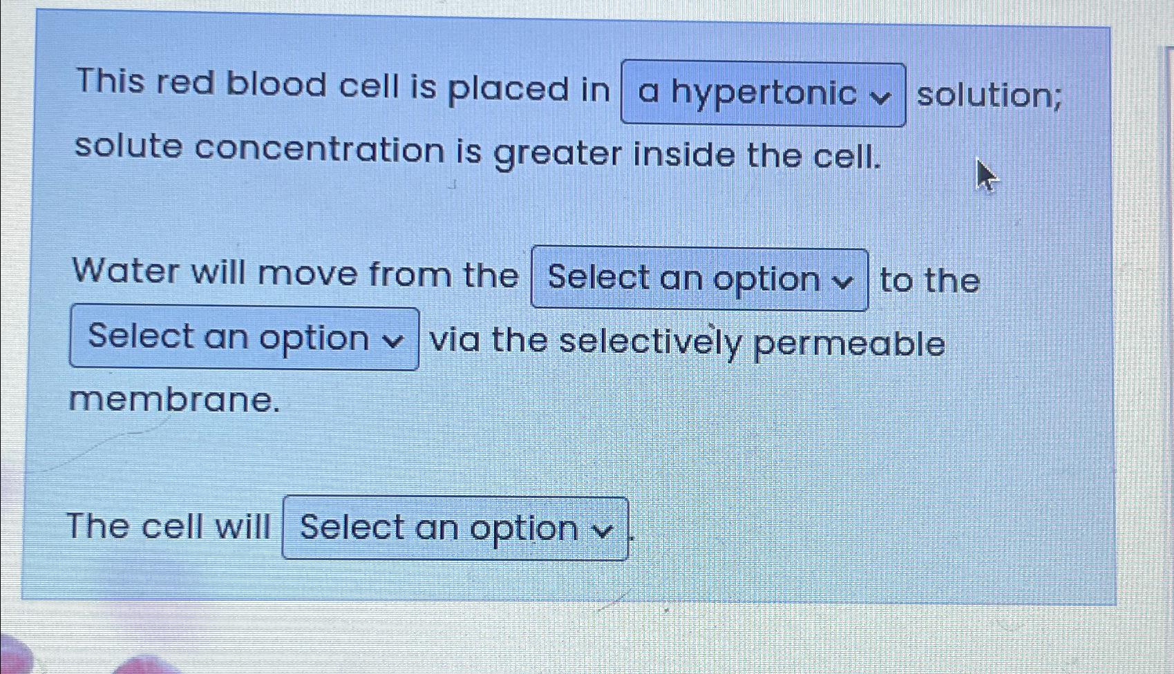 Solved This red blood cell is placed in solution; solute | Chegg.com