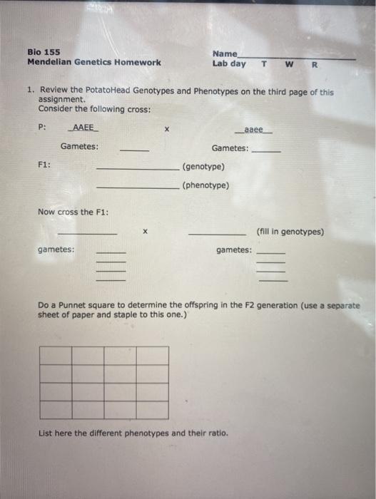 Solved Bio 155 Mendelian Genetics Homework Name Lab day T W | Chegg.com